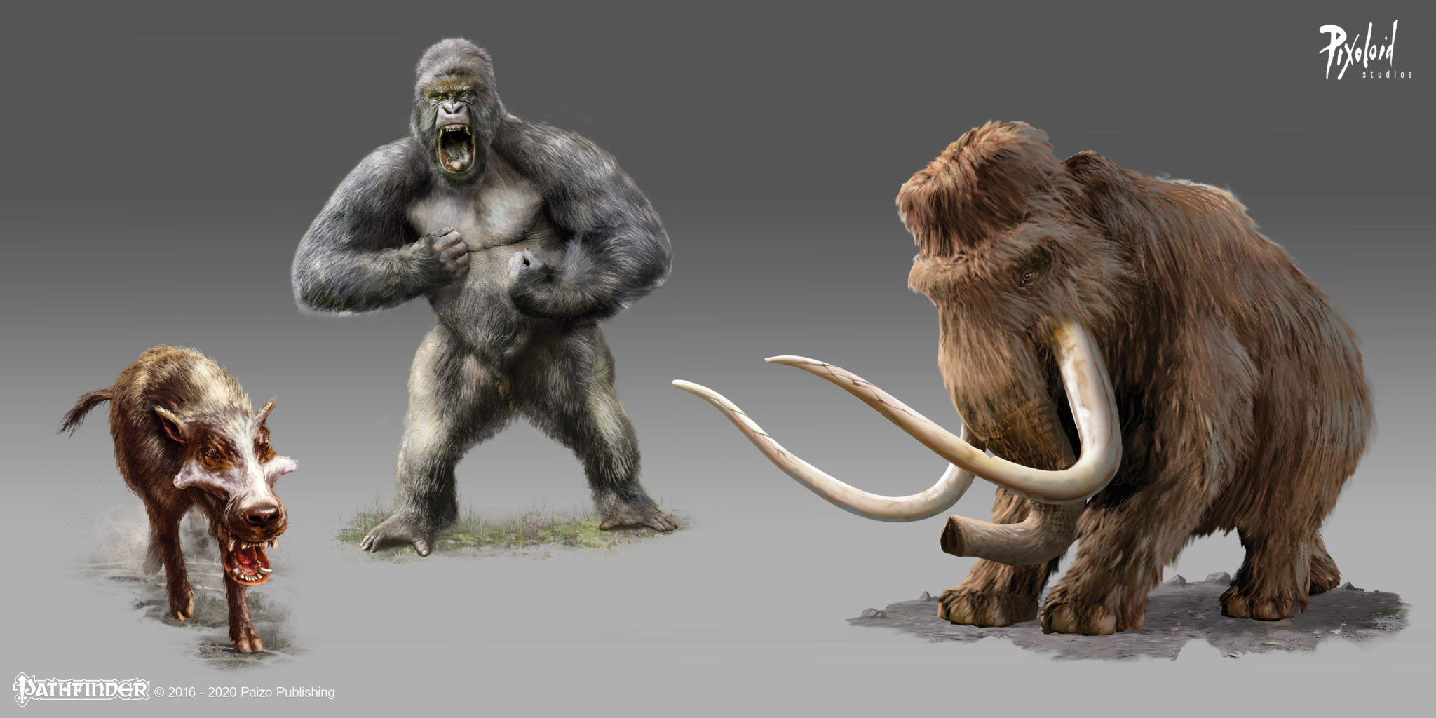 Pathfinder – Pixoloid Studios